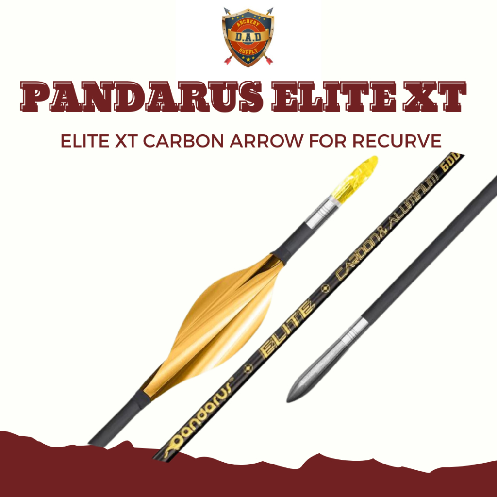 Jual PANDARUS ELITE XT CARBON ARROW (DZ) - tanpa vanes / ANAK PANAH ...