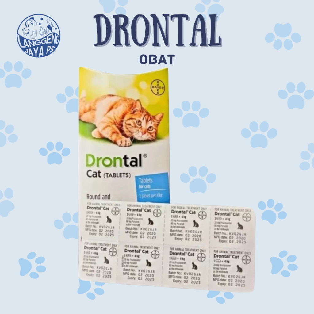 Jual DRONTAL Cat Obat Cacing Kucing Anjing 1 Tablet Original Made In ...