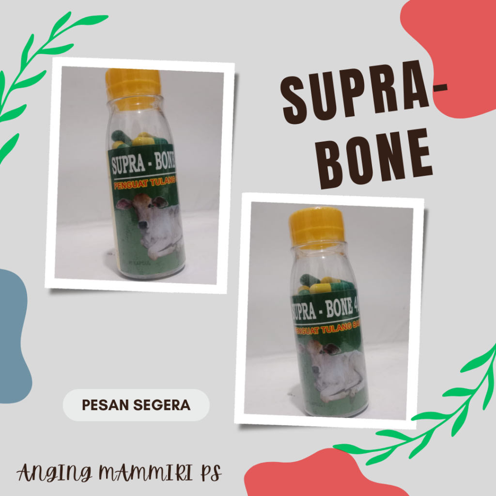 Jual SUPRA - BONE (Penguat tulang sapi dan kambing lumpuh) | Shopee ...