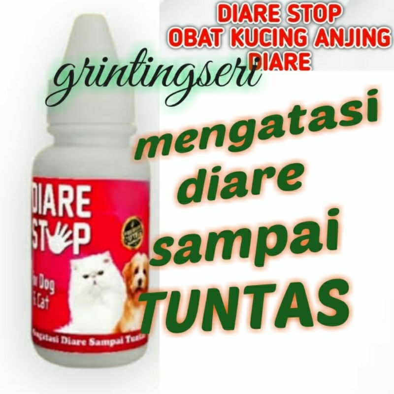 Jual diare stop 30ml mengatasi diare pada kucing & anjing sampai tuntas ...