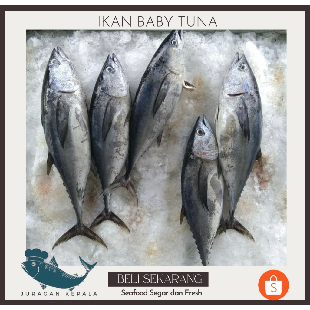 Jual JURAGAN IKAN BABY JUNA 1 KG | Shopee Indonesia