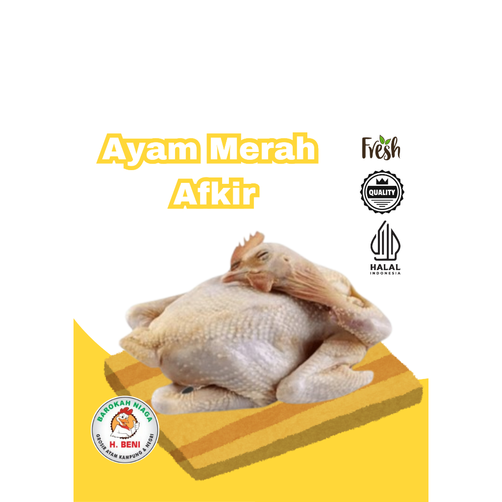 Jual AYAM MERAH AYAM PETELUR FRESH SIAP SAJI | Shopee Indonesia