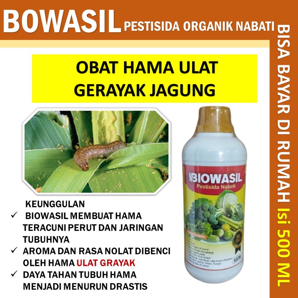 Jual efektif Obat Pembasmi Hama Ulat Jagung Ampuh BIOWASIL 500 MLPestisida Organik Nabati Obat ...