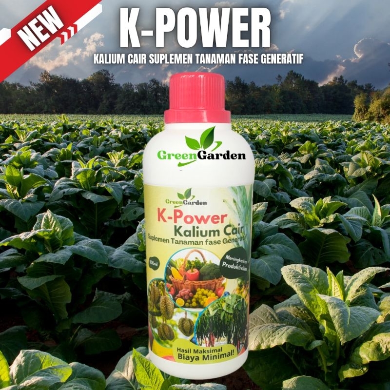 Jual pupuk buah booster buah K power kalium cair suplemen Tanaman fase ...