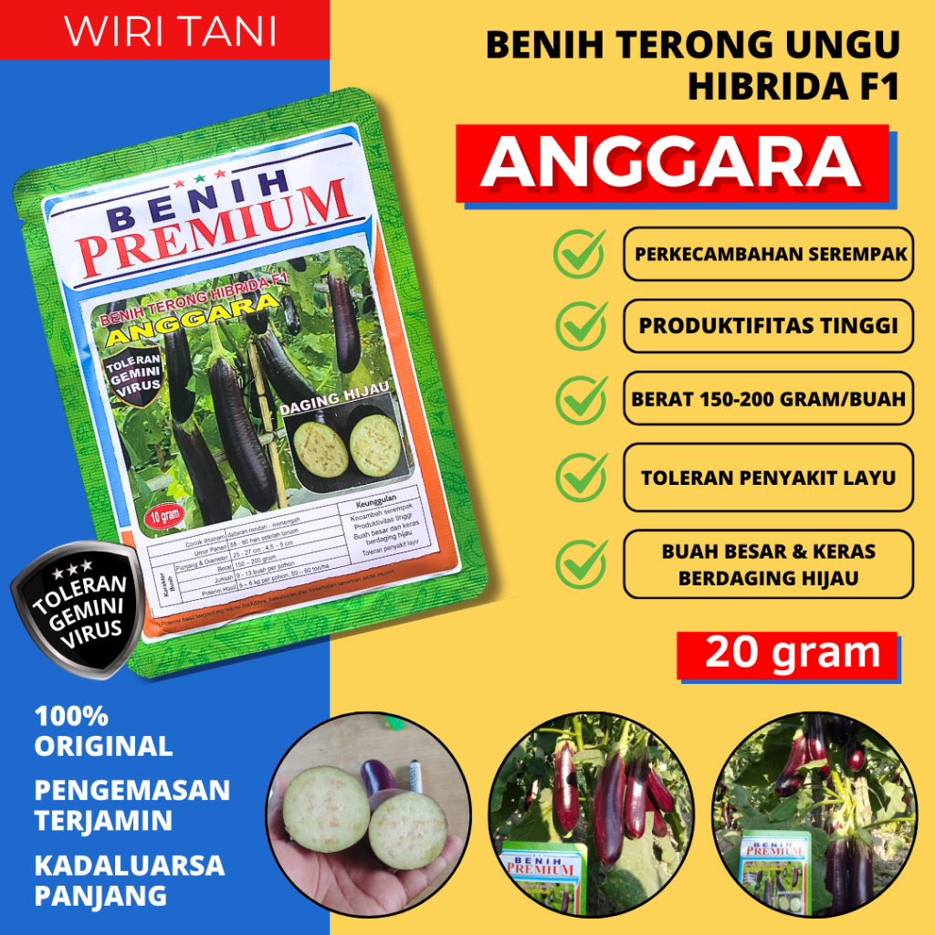 Jual (10 gram) Benih Bibit Terong Ungu Gelap Panjang Hibrida F1 ANGGARA ...