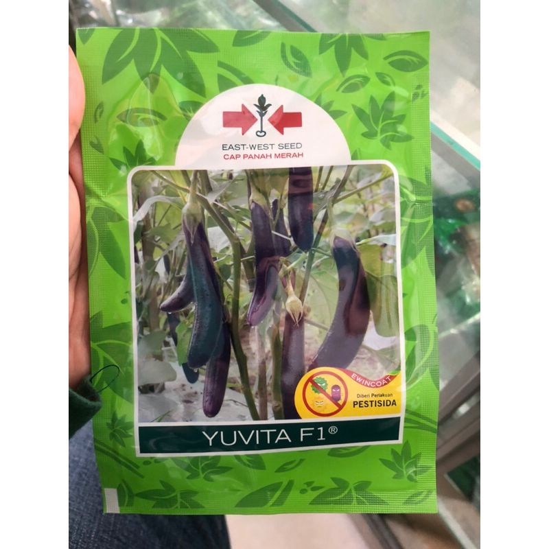 Jual Benih Terong Jumbo Yuvita F1 Isi 1100 butir Kadaluarsa 2025 - Benih Cap Panah Merah ...