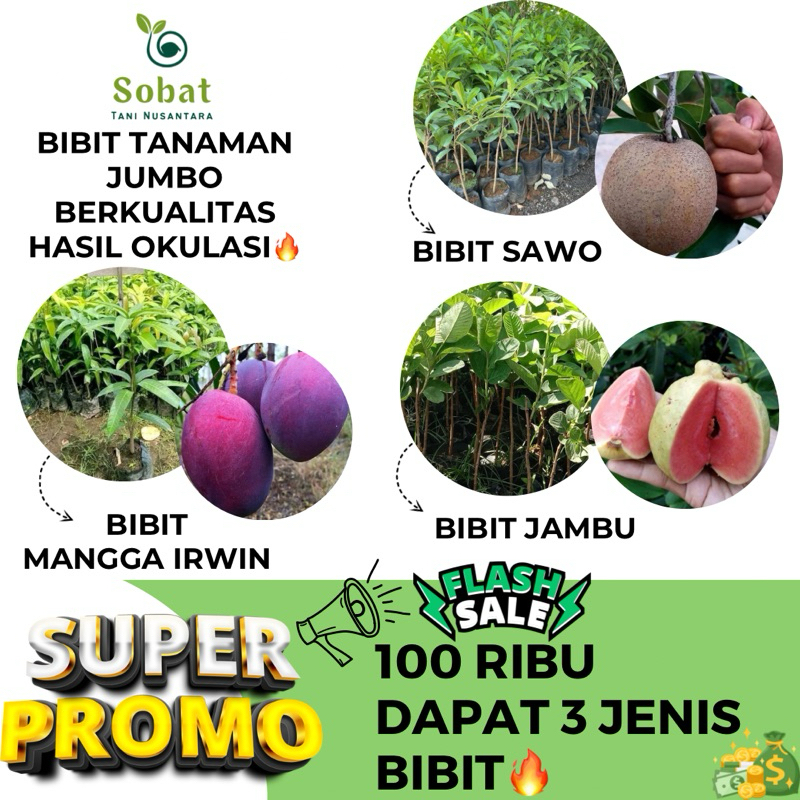 Jual Paket Bibit Tanaman | Shopee Indonesia