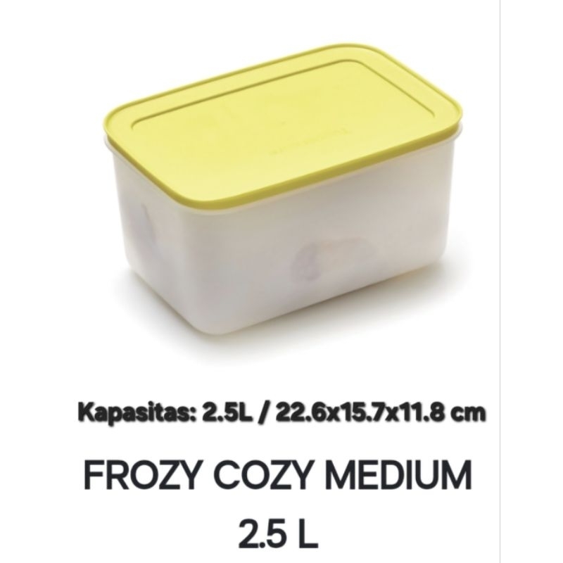 Jual Tupperware medium Frozy Cozy 2.5L | Shopee Indonesia