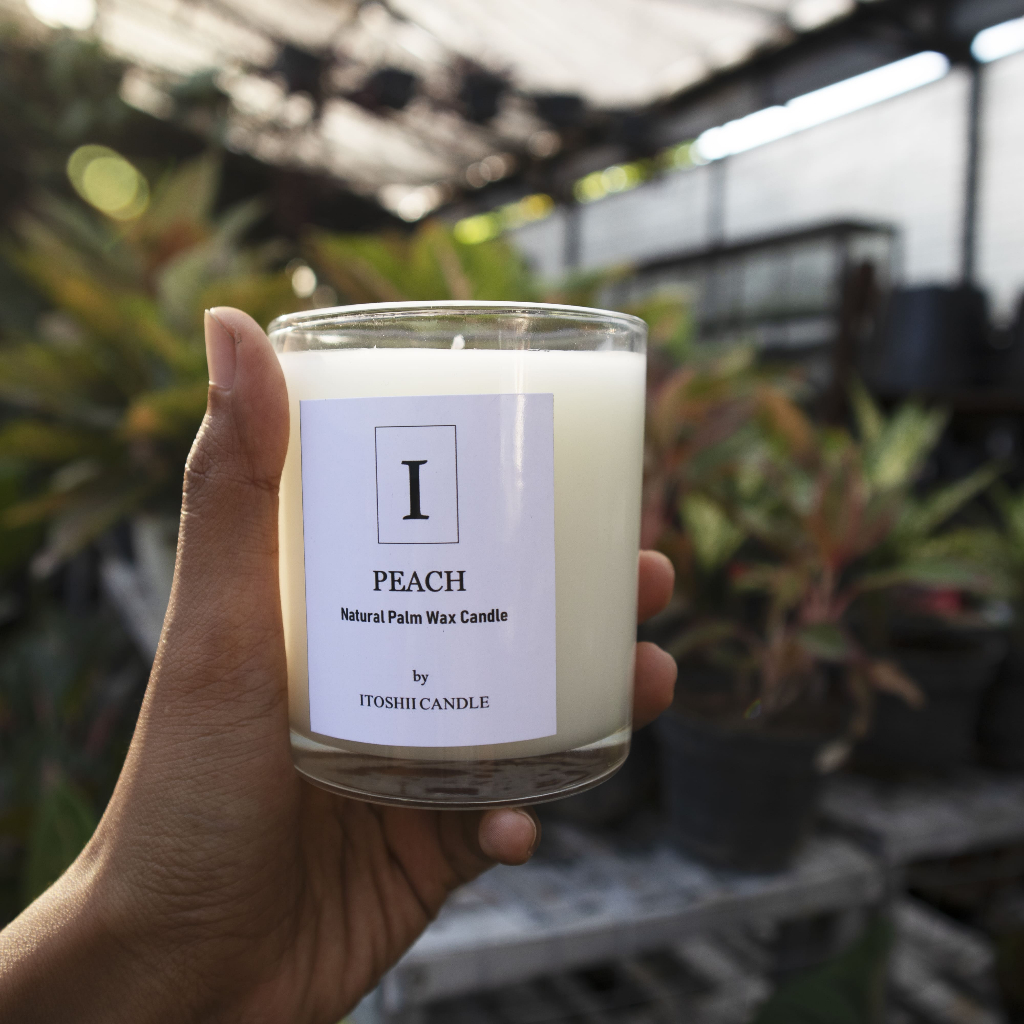 Jual Lilin Aromaterapi - Scented Candle Natural Palm Wax 155gr ...