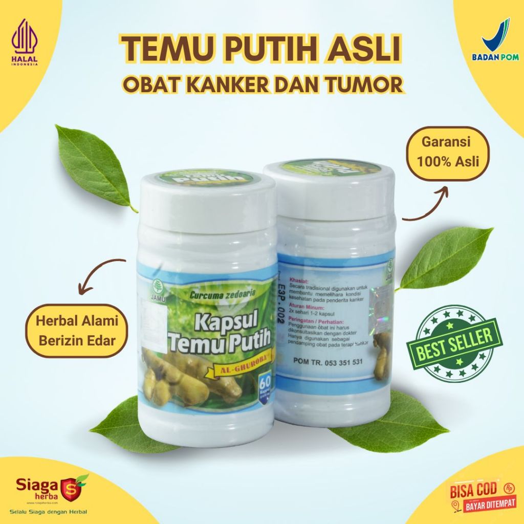 Jual Al-Ghuroba Temu Putih Kapsul Herbal Kanker, Tumor, Sehat ...