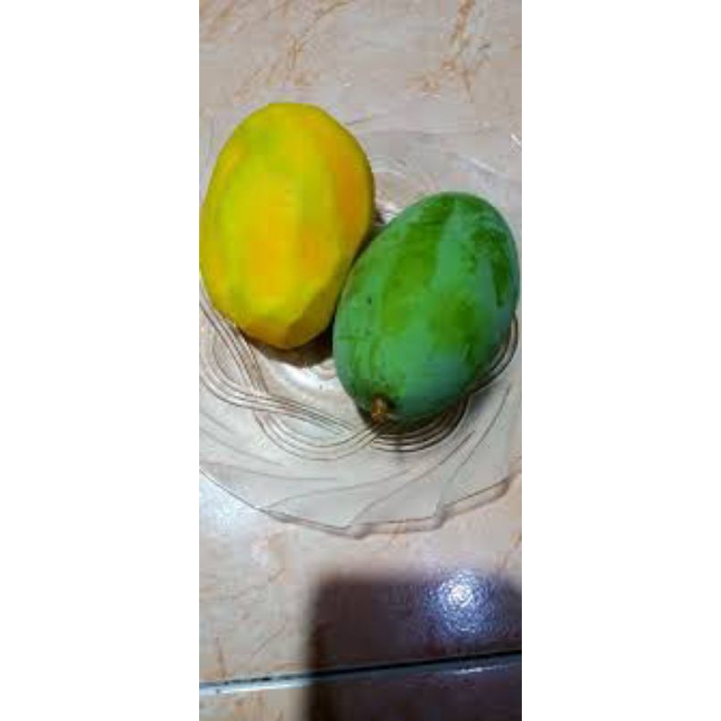 Jual Buah Mangga Kweni | Shopee Indonesia