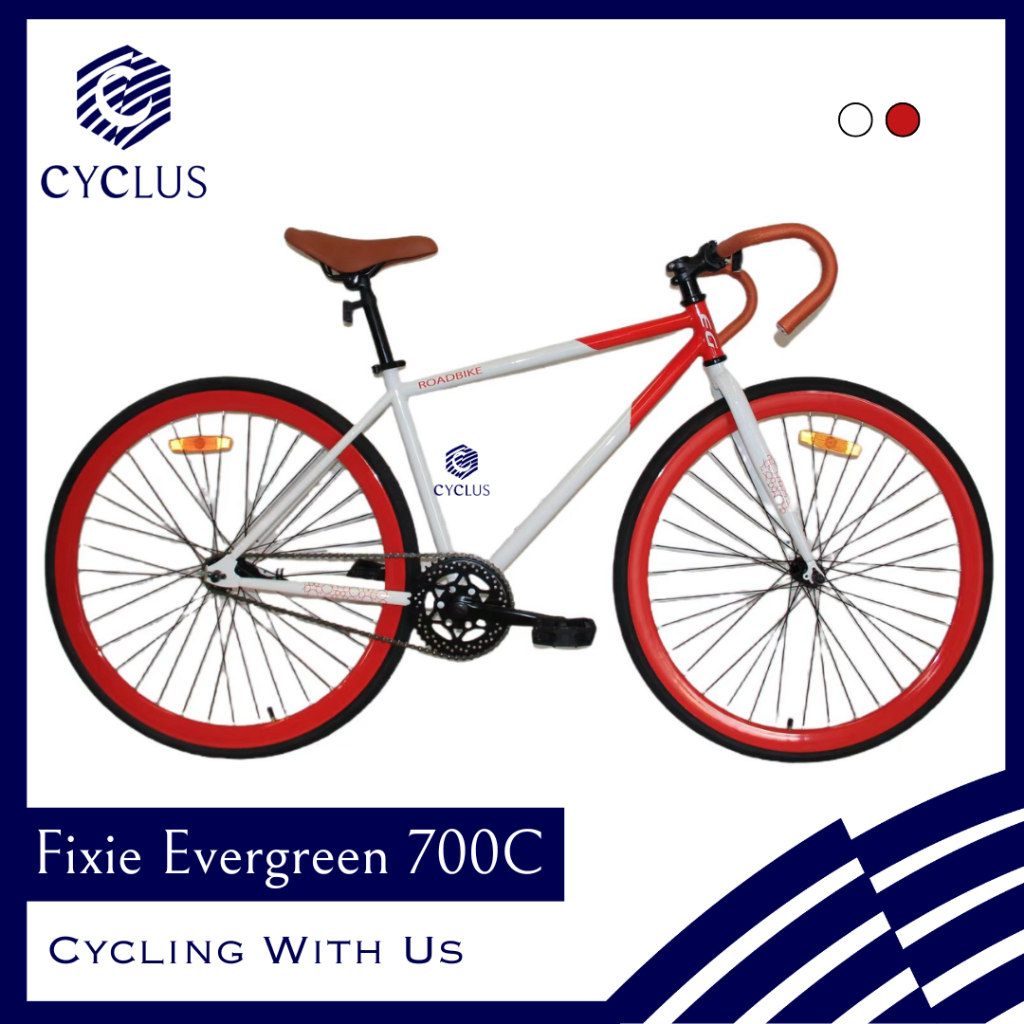 Jual Sepeda Fixie Retro Fullbike Evergreen 700c 700C Stang Balap ...