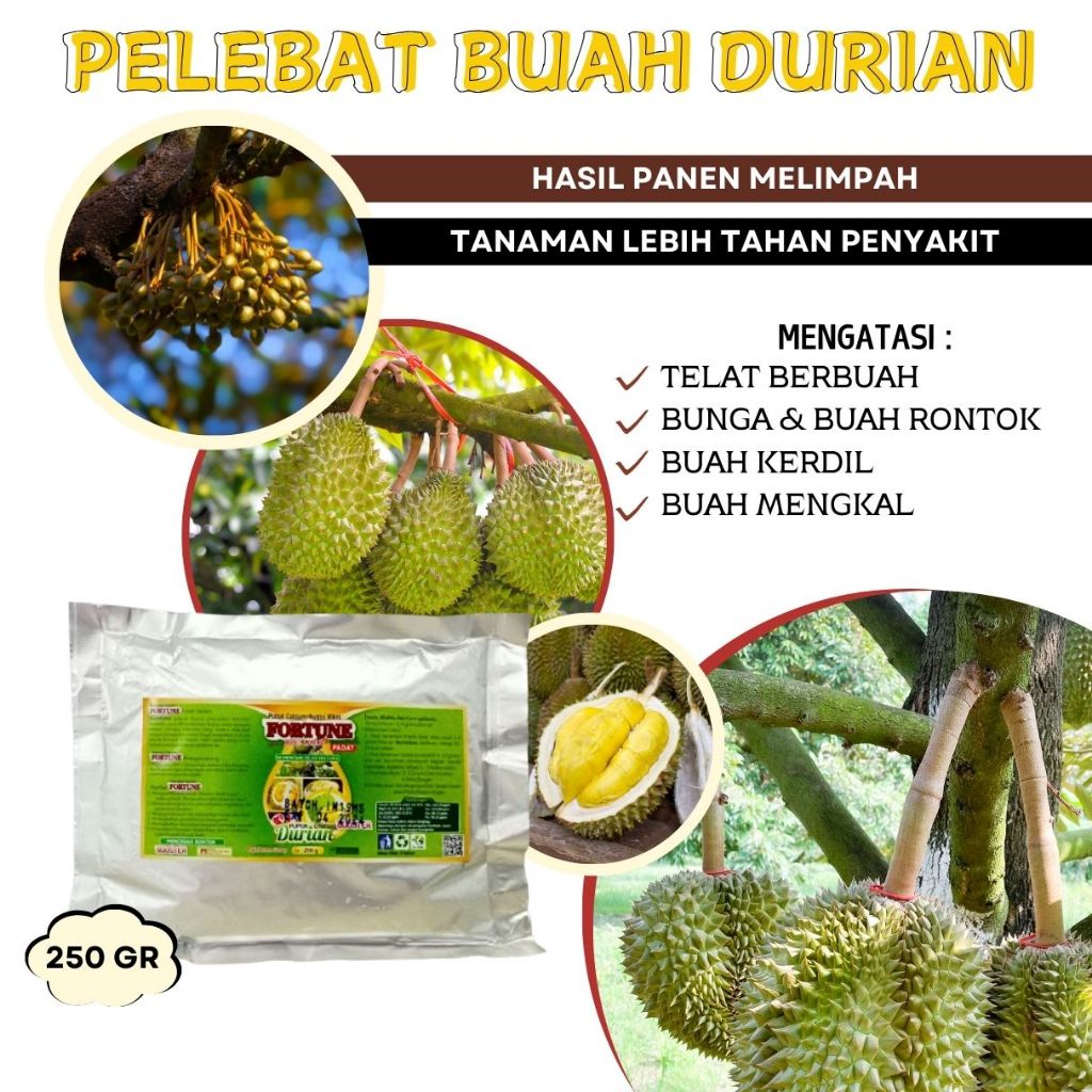 Jual Pupuk Durian Booster Pemacu dan Pelebat Buah Durian, Boster Durian Agar Cepat Berbuah ...