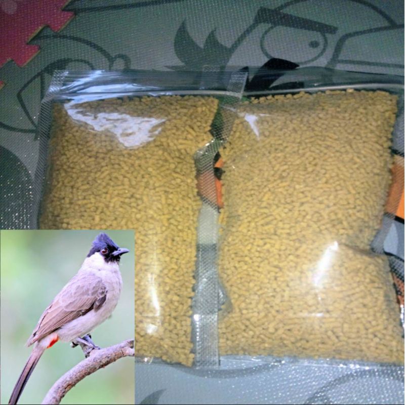 Jual Pakan Makanan Por Burung Kutilang 200 Gram | Shopee Indonesia