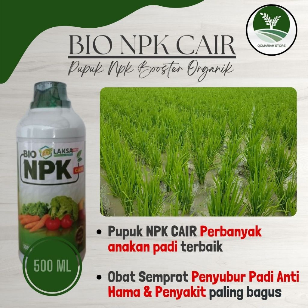 Jual Pupuk Ajaib Booster Buah Bulir Padi - NPK LAKSA GROW - Obat Pemacu Pembuahan Padi Terbaik ...