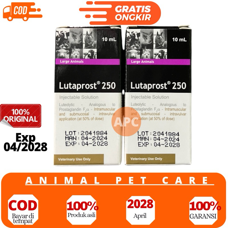 Jual LUTAPROST 250 - Hormon PGF2 alfa- Hemat Obat hewan | Shopee Indonesia