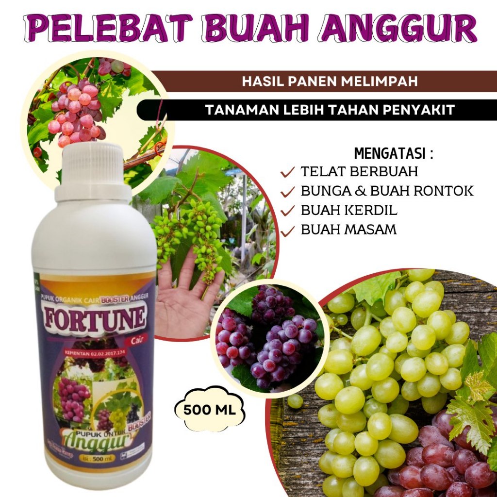 Jual Pupuk Buah Anggur Kemasan 500ml, Booster Anggur Cepat Berbuah Lebat | Shopee Indonesia