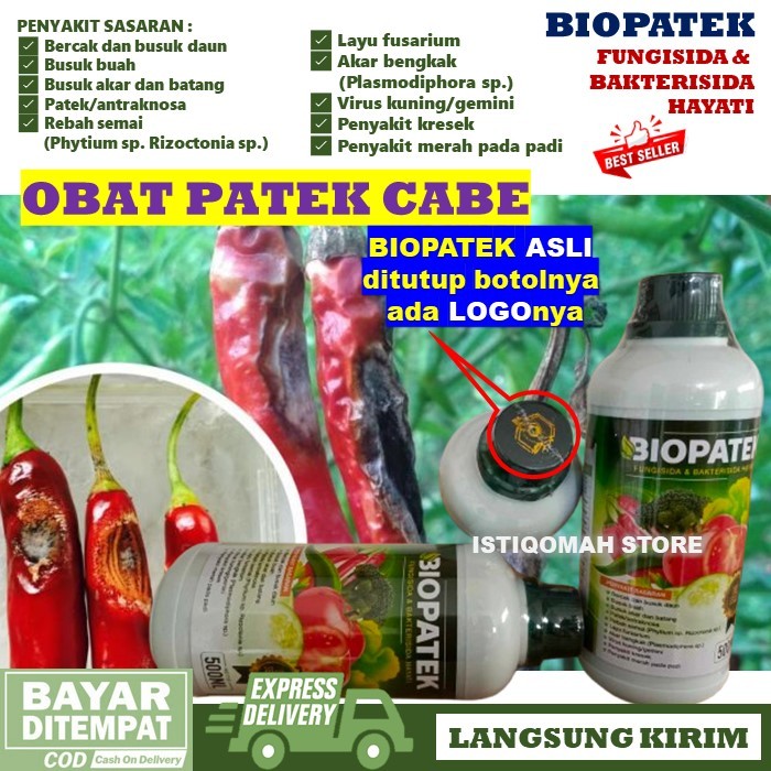 Jual BIOPATEK Fungisida Hayati Obat Hama Patek Cabe - Mengatasi Hama ...