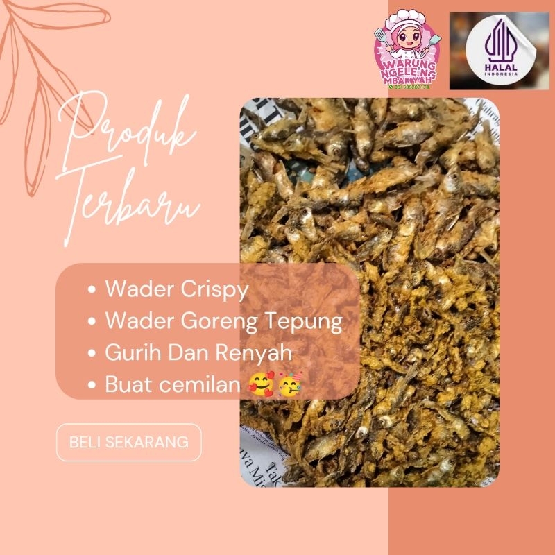Jual WADER GORENG IKAN WADER CRISPY | Shopee Indonesia
