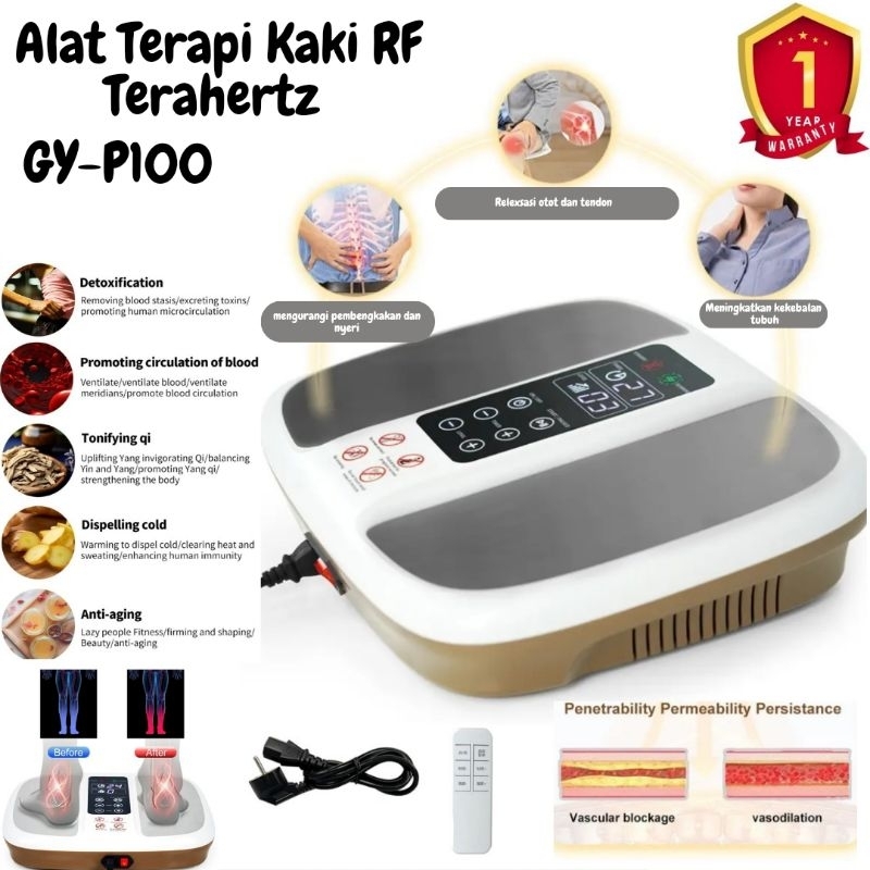 Jual ALAT TERAPI RF TERAHERTZ GY-100 UPDATE DARI TERA P90 ALAT TERAPI ...