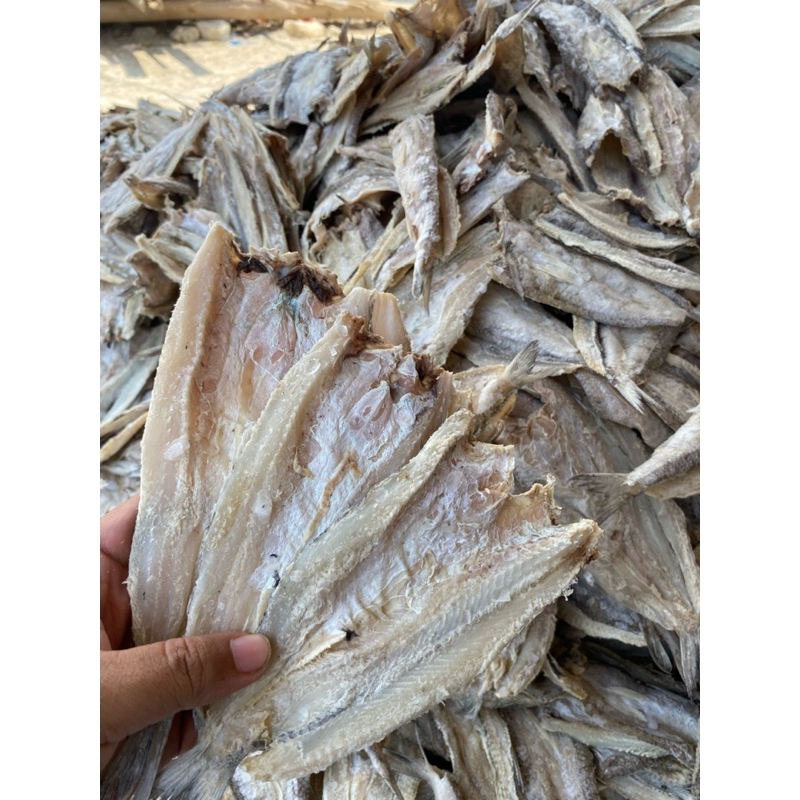 Jual ikan asin BLOSO/Gabus Laut 1.Kg Empuk Gurih Termurah | Shopee ...