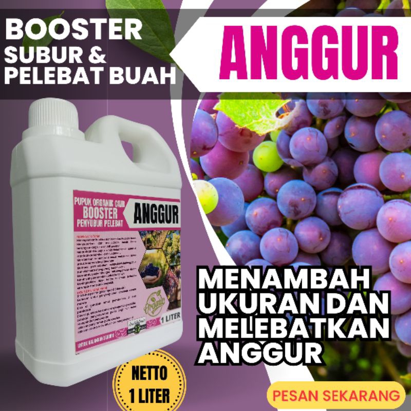 Jual Pupuk Organik Anggur Agar Berbuah Cepat Dan Lebat 1 liter Pupuk komplit Penyubur Anggur Dan ...