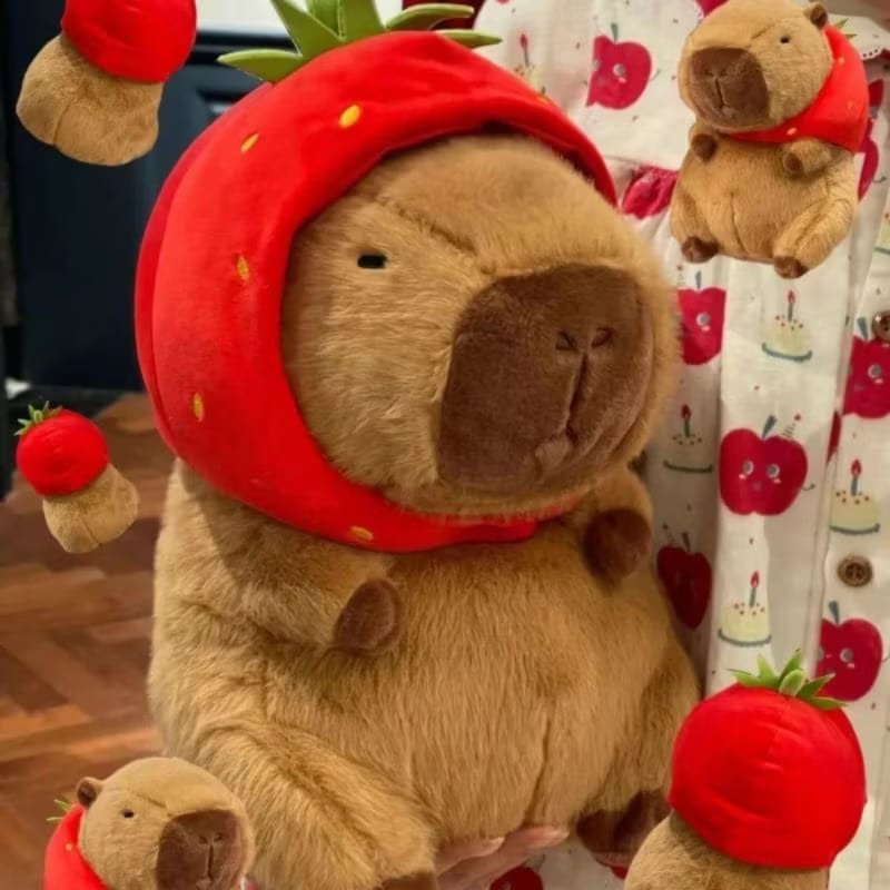 Jual Boneka Capybara 32 cm plushie besar capybara kapibara jumbo ...