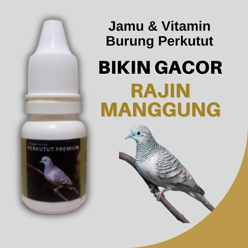 Jual Vitamin Dan Jamu Perkutut Premium Agar Gacor Rajin Manggung ...
