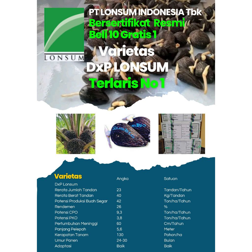 Jual Kecambah Kelapa Sawit Unggul Bersertifikat - Varietas DxP Lonsum ...