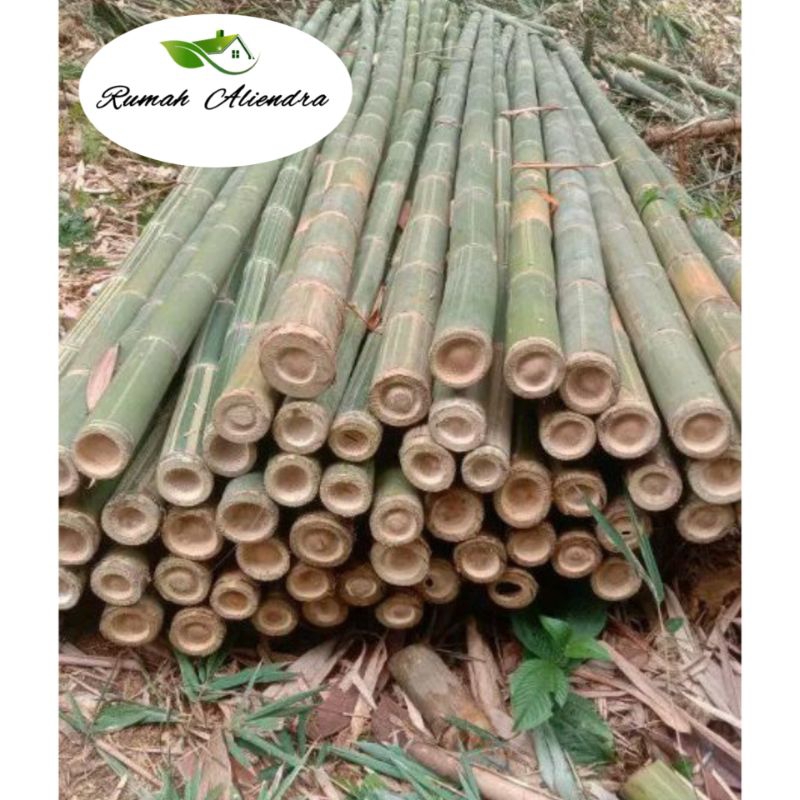 Jual BAMBU STEGER GRATIS ONGKIR/BAMBU COR/BAMBU DEK/BAMBU PROYEK/BAMBU ...