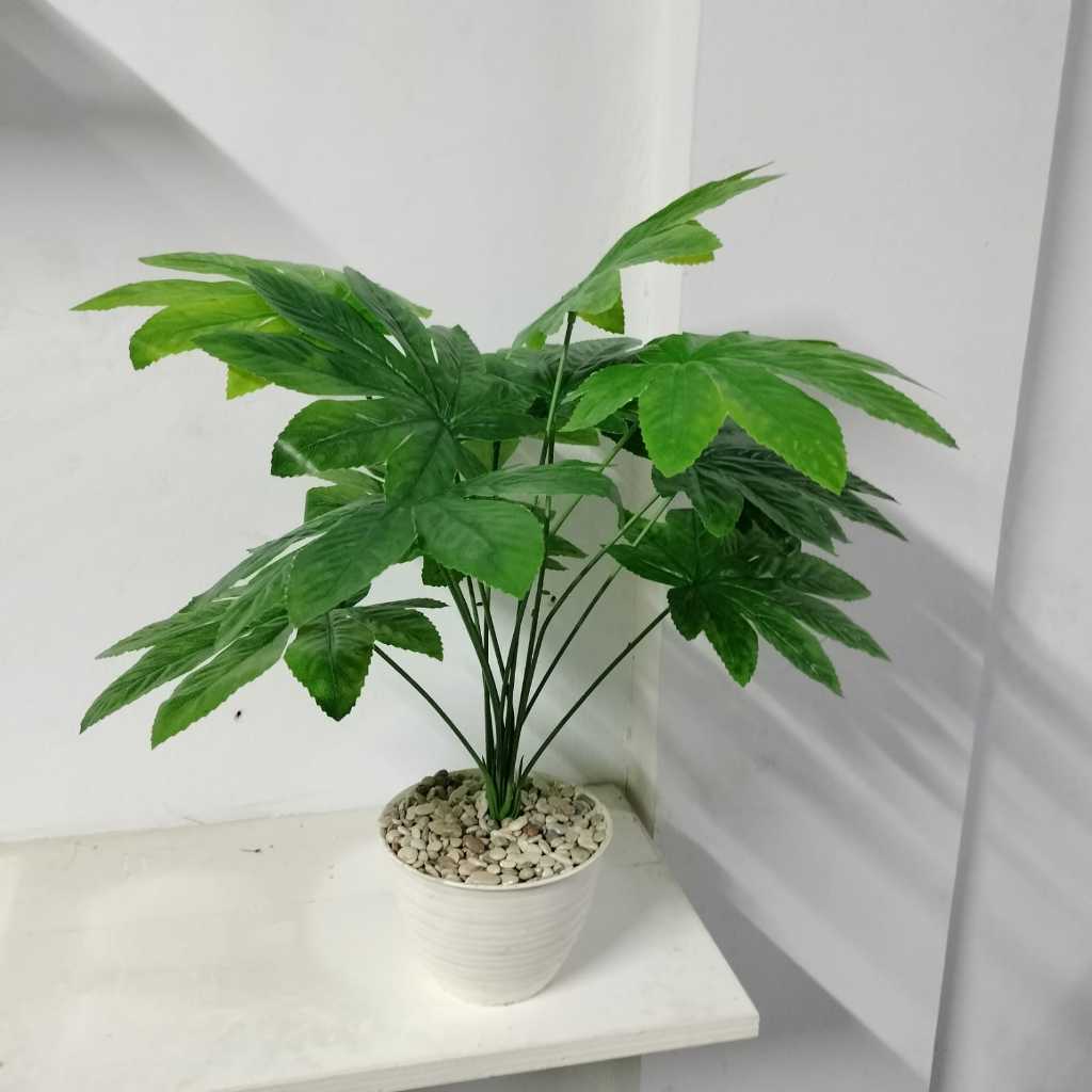 Jual Tanaman Dalam Pot Daun Bintang// Daun Bintang Artificial Latex ...