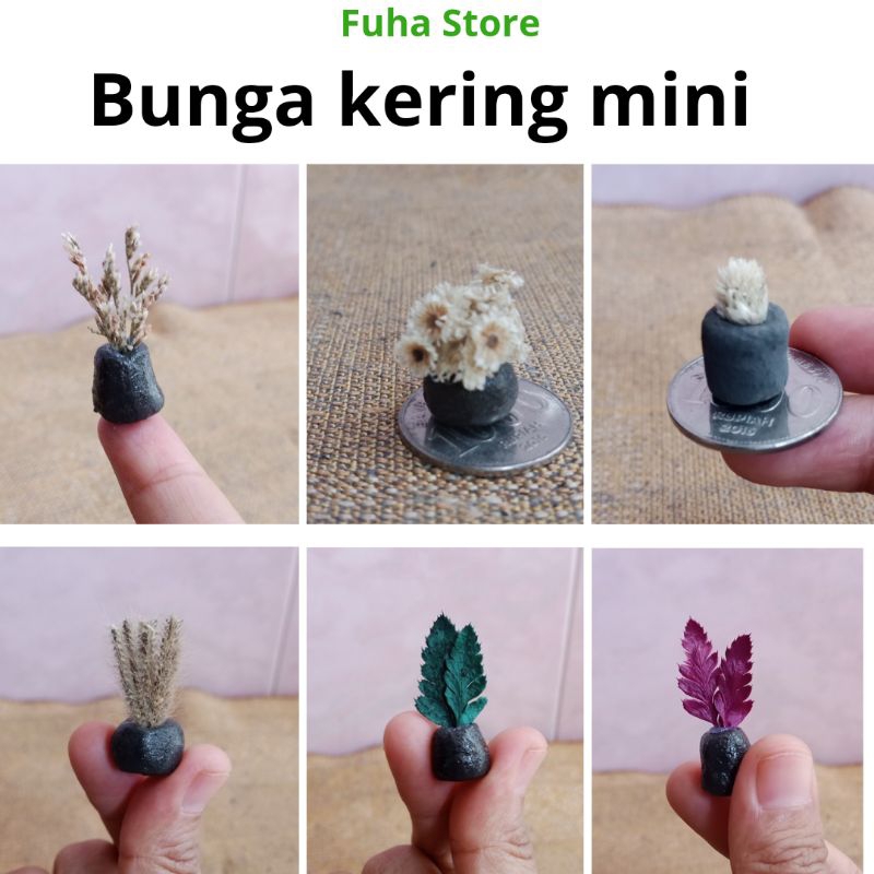 Jual Miniatur bunga kering paling mini | Shopee Indonesia