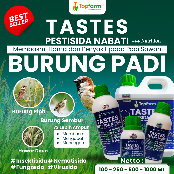 Jual Obat Pembasmi Burung Pada Padi / Obat Semprot Padi Hama Burung ...