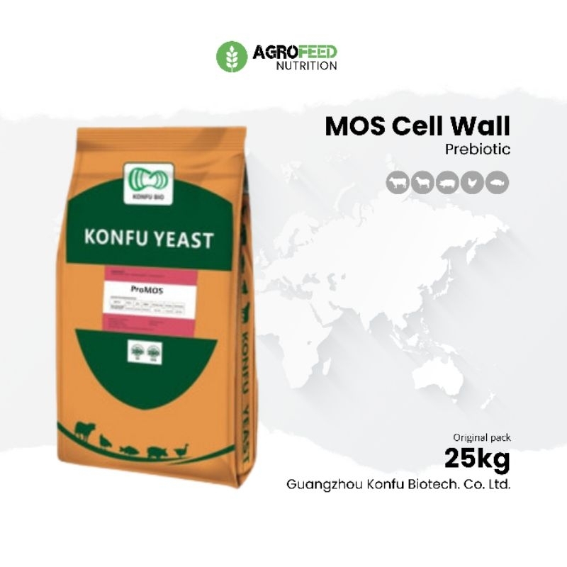 Jual MOS Mannan Oligo-Saccharide /kg Prebiotik Yeast Ragi Powder ...