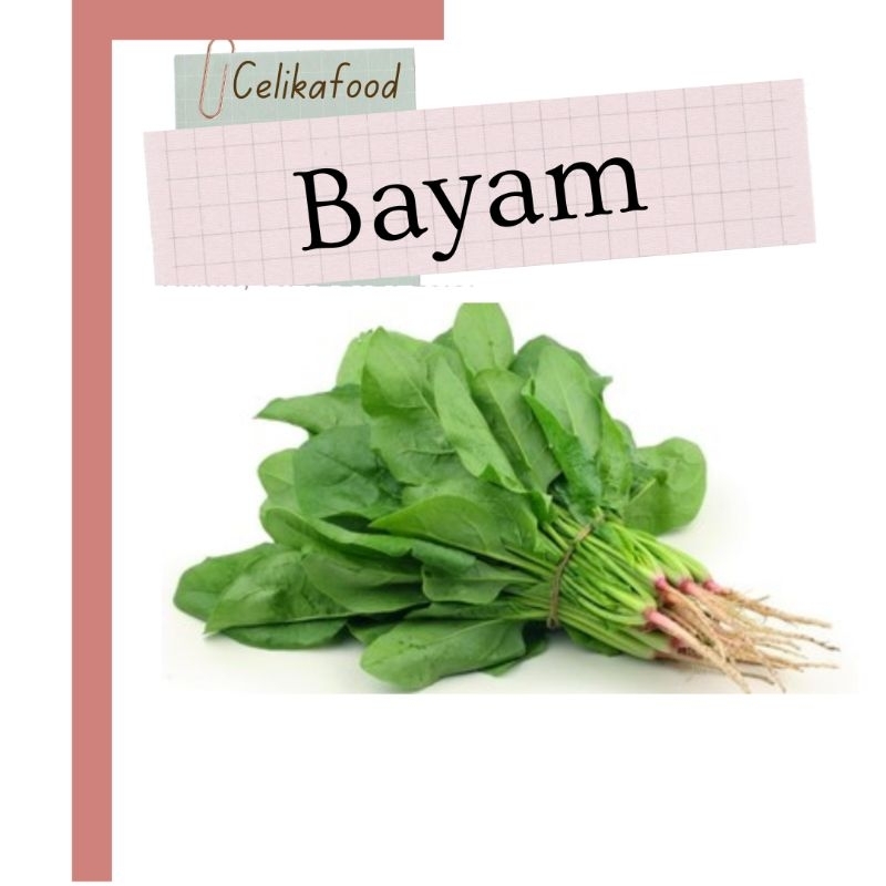 Jual Sayur Bayam Bayem 1 Ikat Bayam Sayuran Fresh Segar | Shopee Indonesia