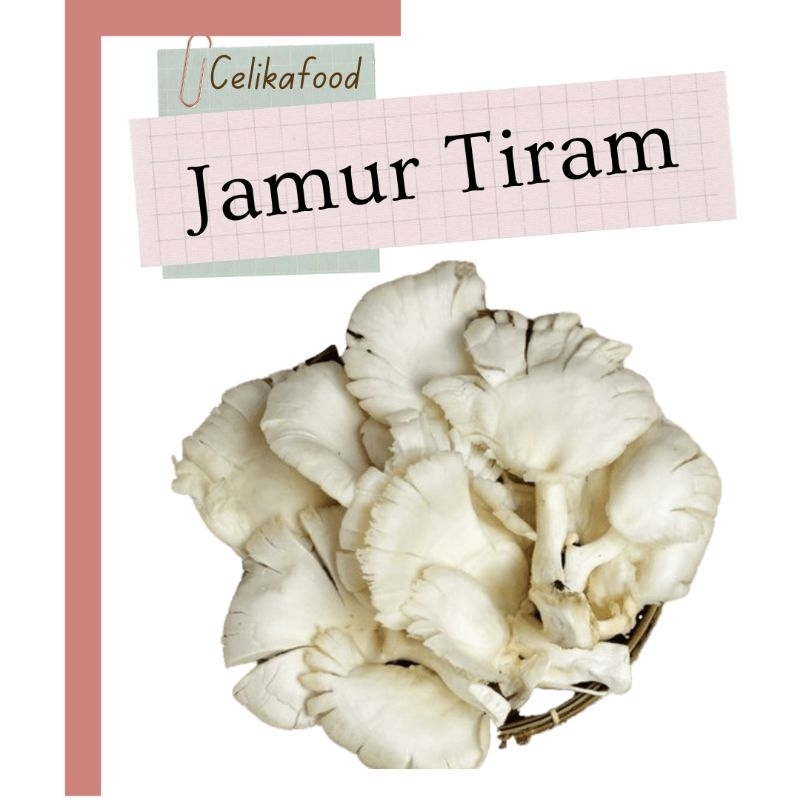 Jual Jamur Tiram Mushroom Sayur Sayuran Makanan Fresh | Shopee Indonesia
