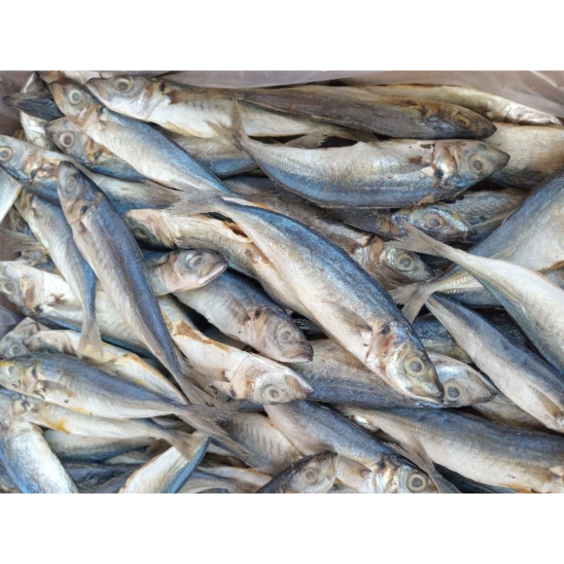 Jual ikan asin,gereh asin pedo,ikan klotok layang k1,k2 super 1kg ...