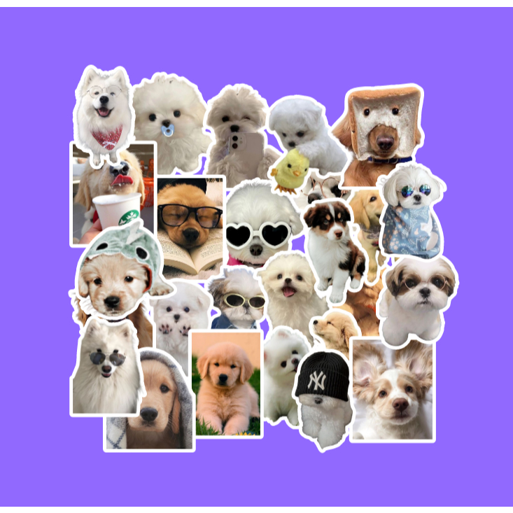 Jual Stiker Pack Anjing Cute Lucu Meme Aesthetic Estetik HP Laptop Tab ...
