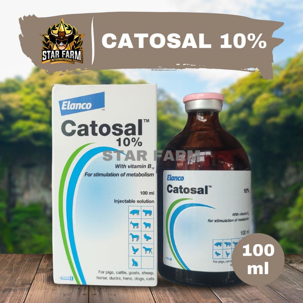 Jual CATOSAL 10% Penguat Metabolisme Stamina Hewan B12 Butafosfan 100 ...