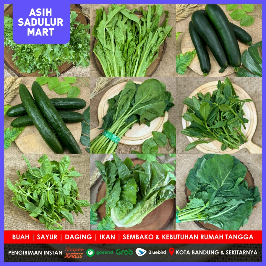 Jual Sayur 500gr Selada / Lettuce Romaine | Timun Kyuri | Kale ...