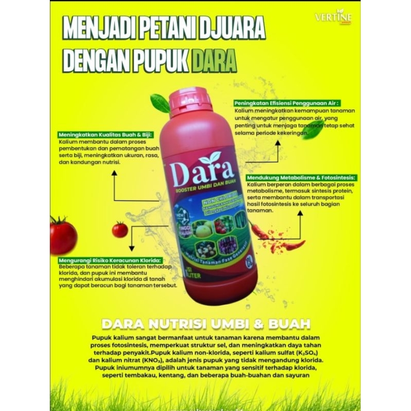 Jual Pupuk Booster Umbi dan Buah DARA 1 liter.. | Shopee Indonesia