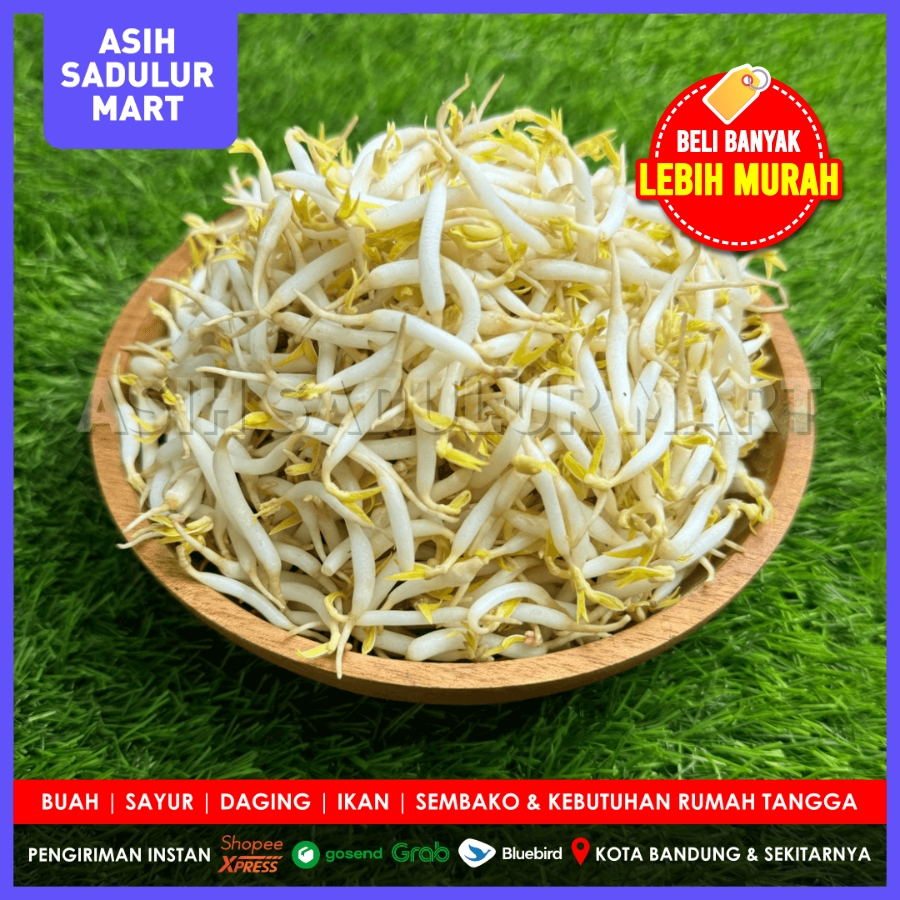 Jual Toge / Tauge 500gr Promo Sayur Bandung | Sayuran Asih Sadulur Mart ...
