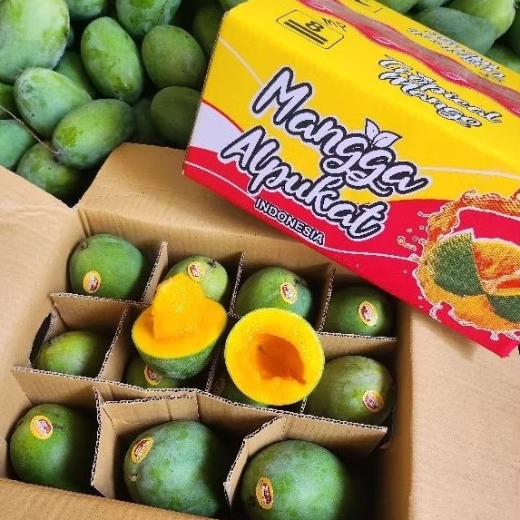 Jual Mangga Bangil Pasuruan Mangga Harum Manis Mangga Alpukat Perbox ...