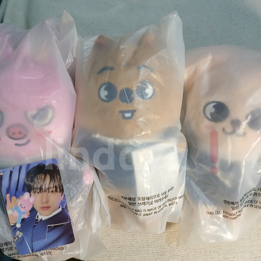 Jual [READY STOCK] OFFICIAL Merchandise Stray Kids Magic School Plush ...