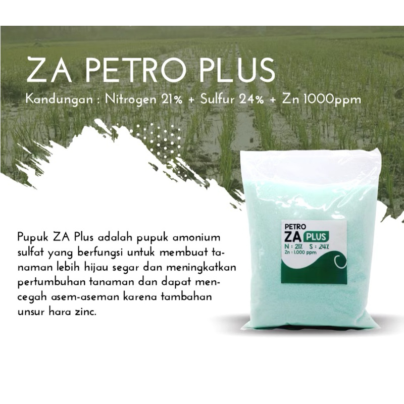 Jual Pupuk ZA Petro Plus / ZA HIJAU Kemasan REPACK 1kg | Nitrogen Sulfur Zinc Nutrisi Lengkap ...