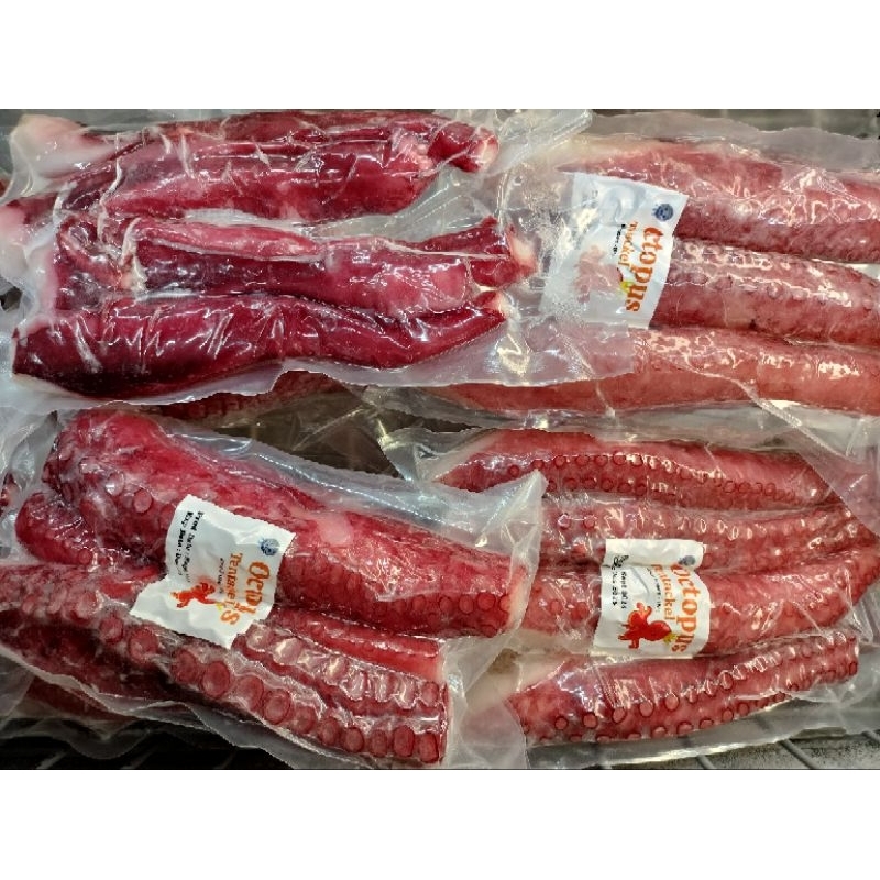 Jual OCTO TENTAKEL COOK PREMIUM GURITA SUPER octopus | Shopee Indonesia