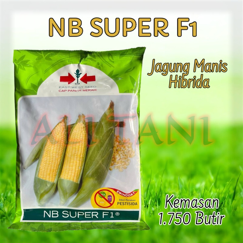 Jual NB Super F1 1.750 Butir Jagung Manis New Bonanza Super cap Panah ...