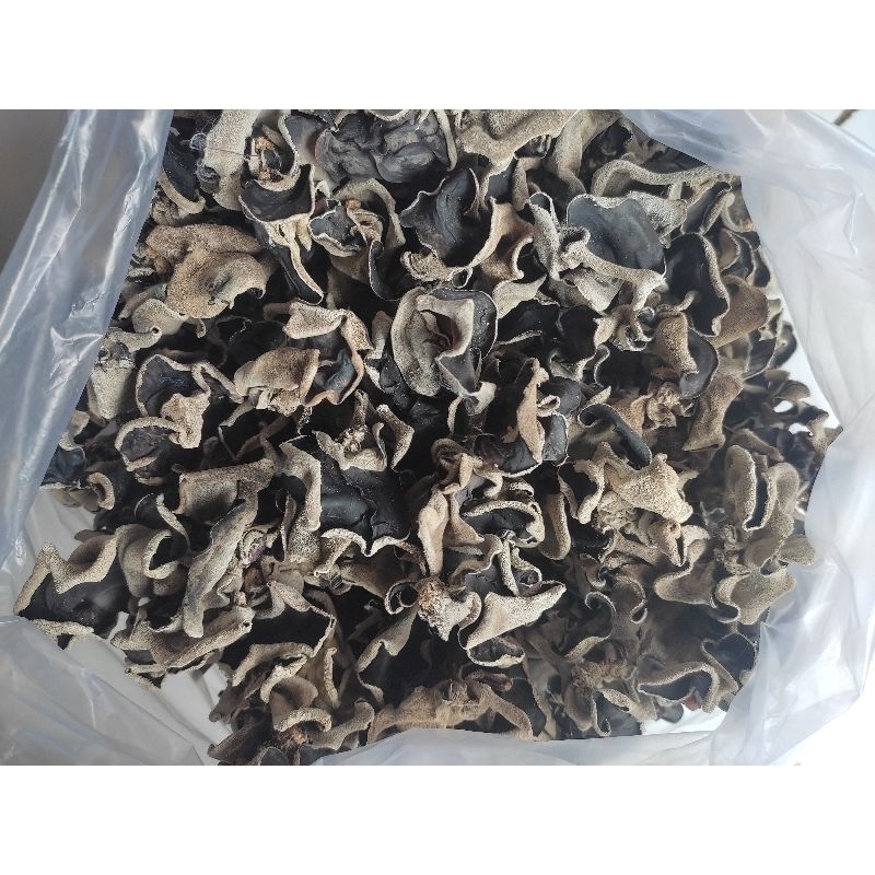 Jual 1kg Jamur kuping hitam/jamur kuping kering kualitas sedang ...