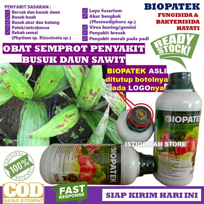 Jual Obat Busuk Daun & Bercak Daun Sawit AMPUH Fungisida & Bakterisida ...