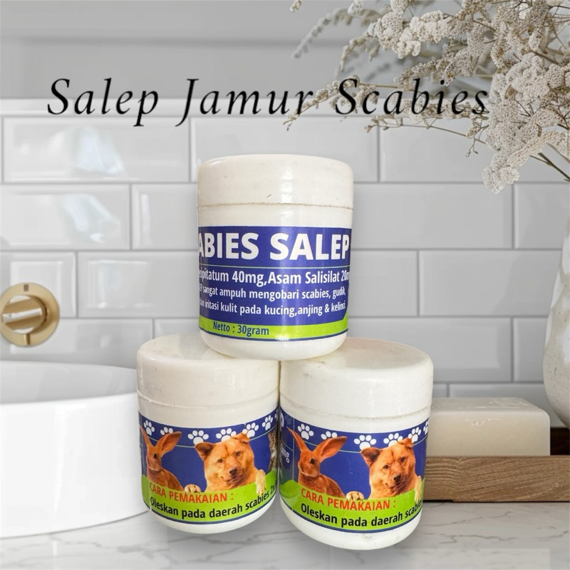 Jual Salep JAMUR kucing SCABIES / KUDIS salep Kucing AMPUH MENGATASI ...
